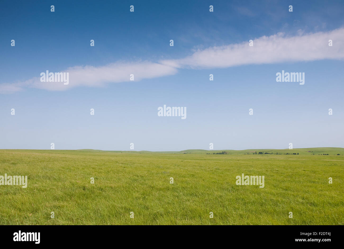 Tallgrass hi-res stock photography and images - Alamy