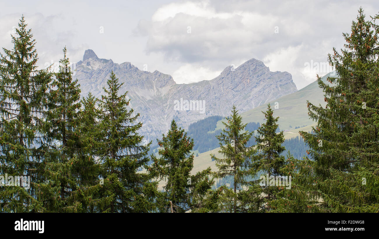 Typical view of the Swiss alps, trees and mountains Stock Photo - Alamy