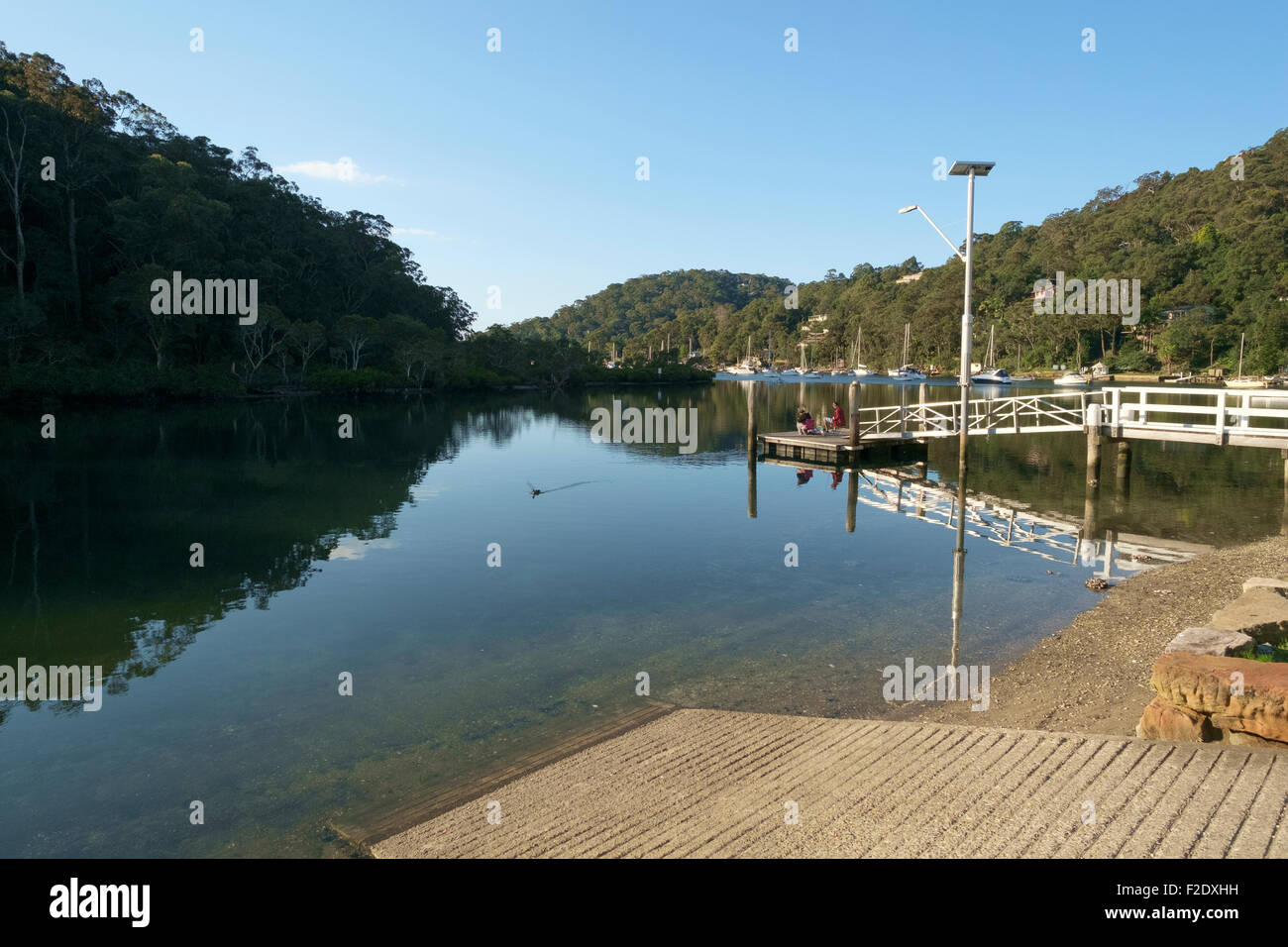 At McCarrs Creek in Ku-Ring-Gai Chase National Park Stock Photo - Alamy