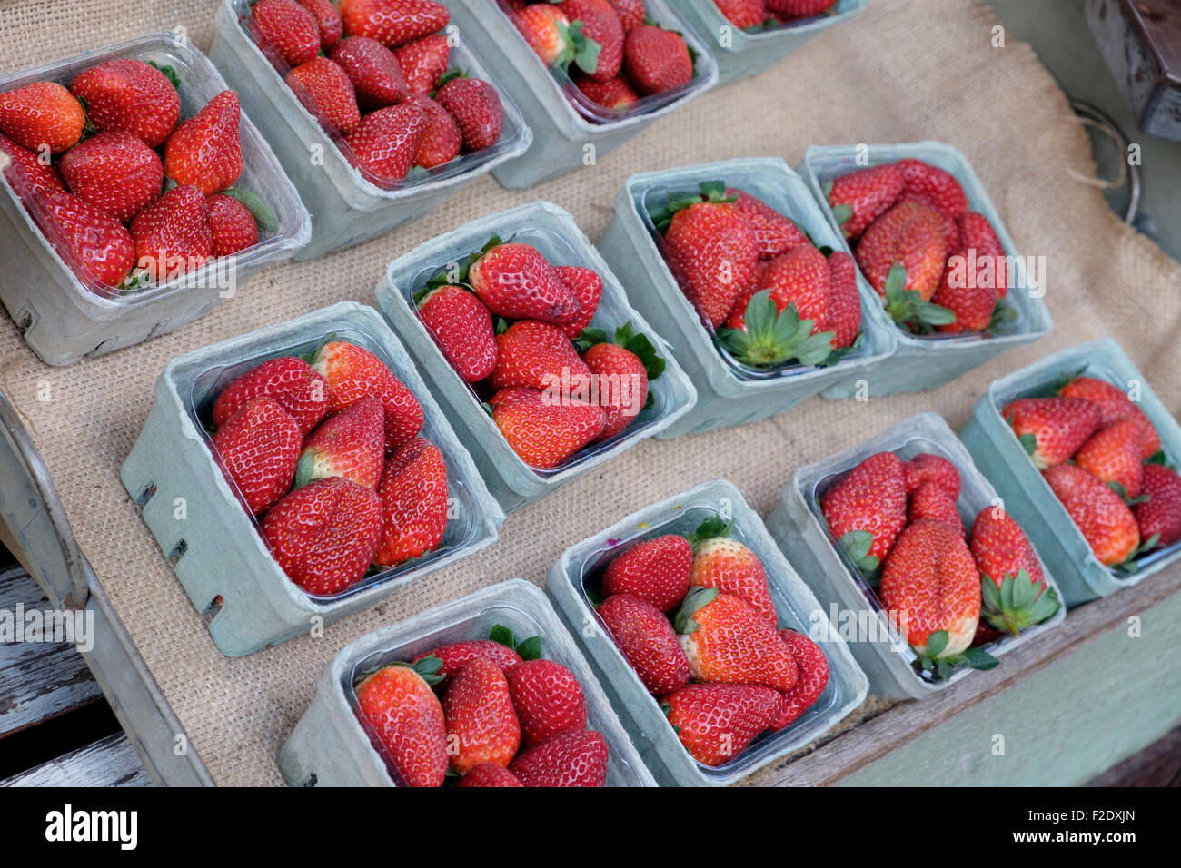 At "The Grounds" Alexandria, Sydney Stock Photo - Alamy
