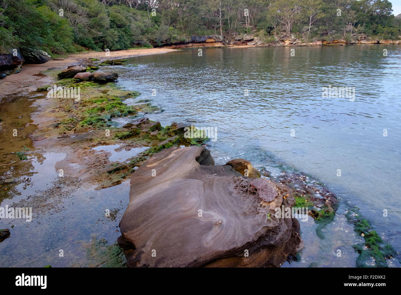 A walk at Berry Island Reserve Stock Photo - Alamy