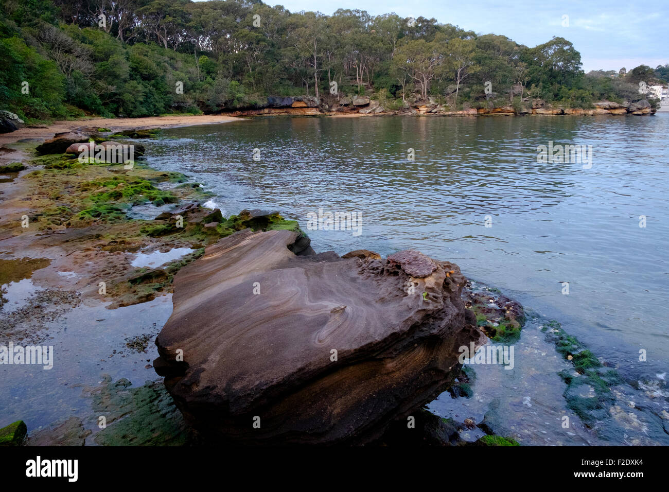 A walk at Berry Island Reserve Stock Photo - Alamy