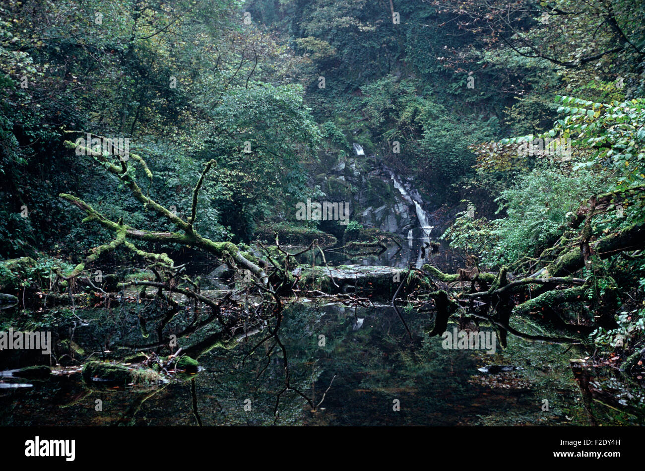 Poulaphouca Waterfall, County Kildare, as referred to in James Joyce ...