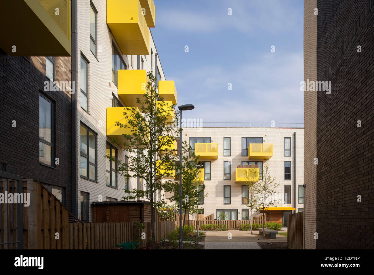 Rear entrance view with yellow balconies. Ocean Estate, London, United ...