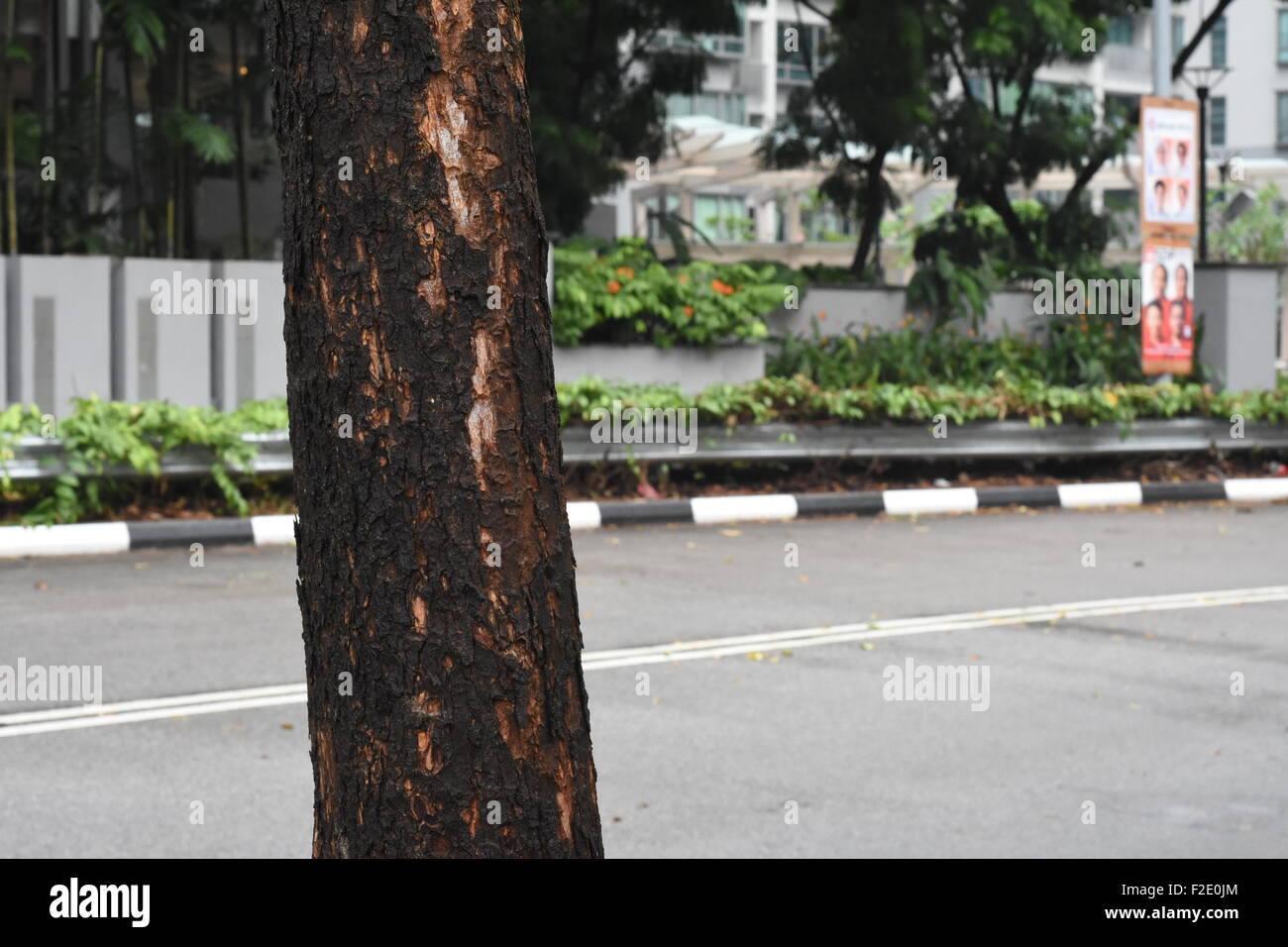 Man made vs nature hi-res stock photography and images - Alamy