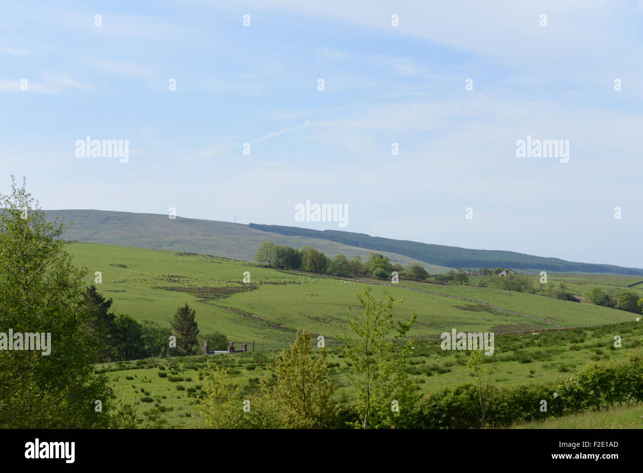 landscape view hills looking towards kielder, saughtree, near ...