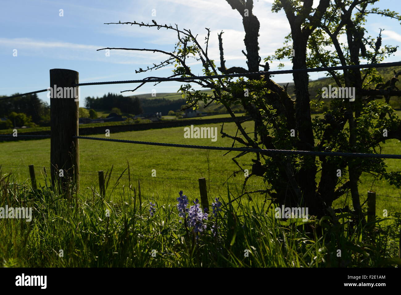 church, saughtree, parish, road, summer, saughtree old manse, saughtree ...