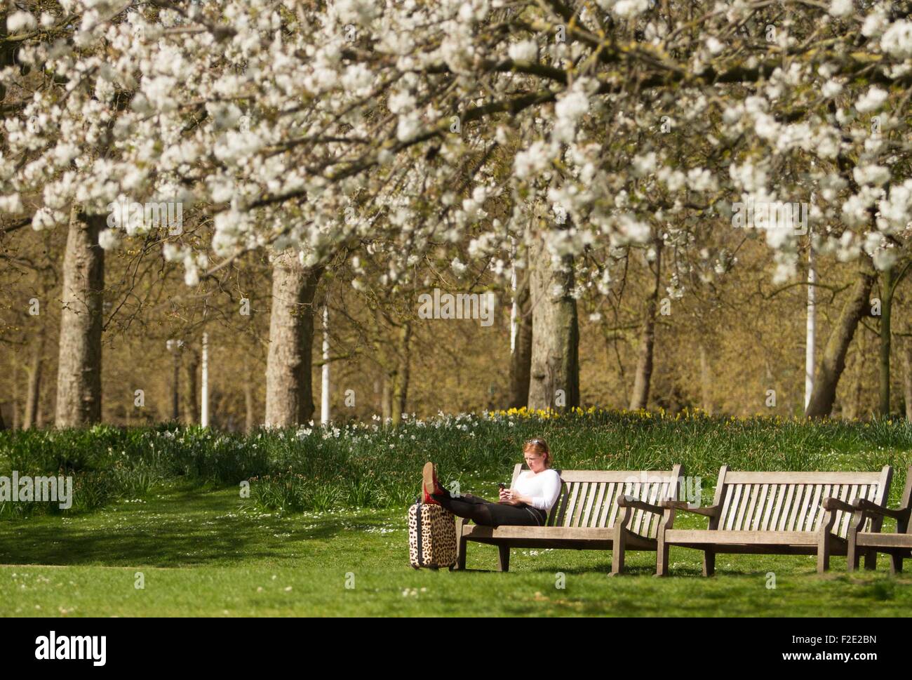 A woman sit on a park bench in green park in London Stock Photo - Alamy
