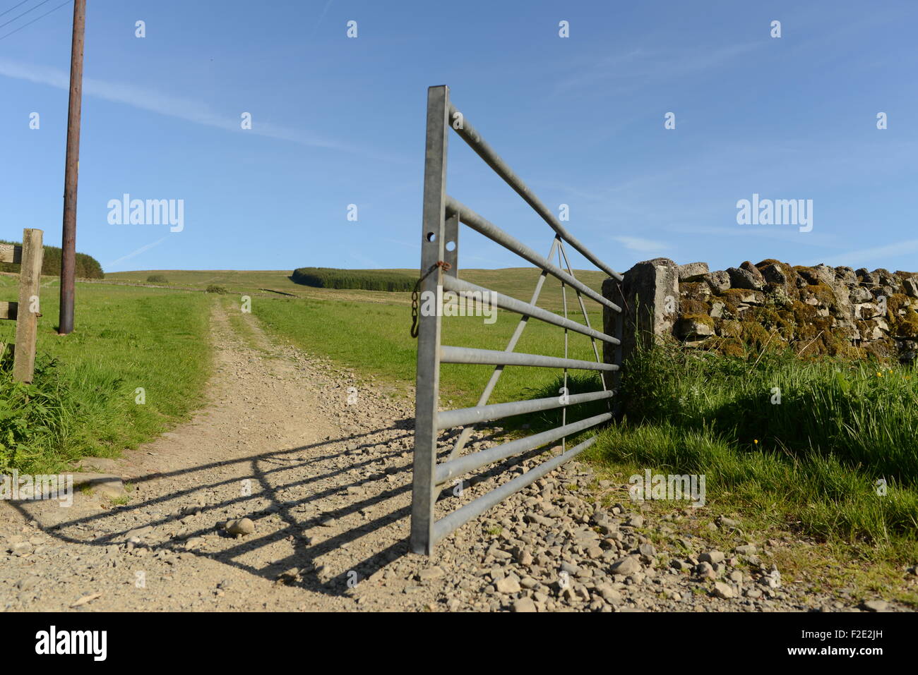 open gate, summer, saughtree old manse, saughtree, newcastleton ...