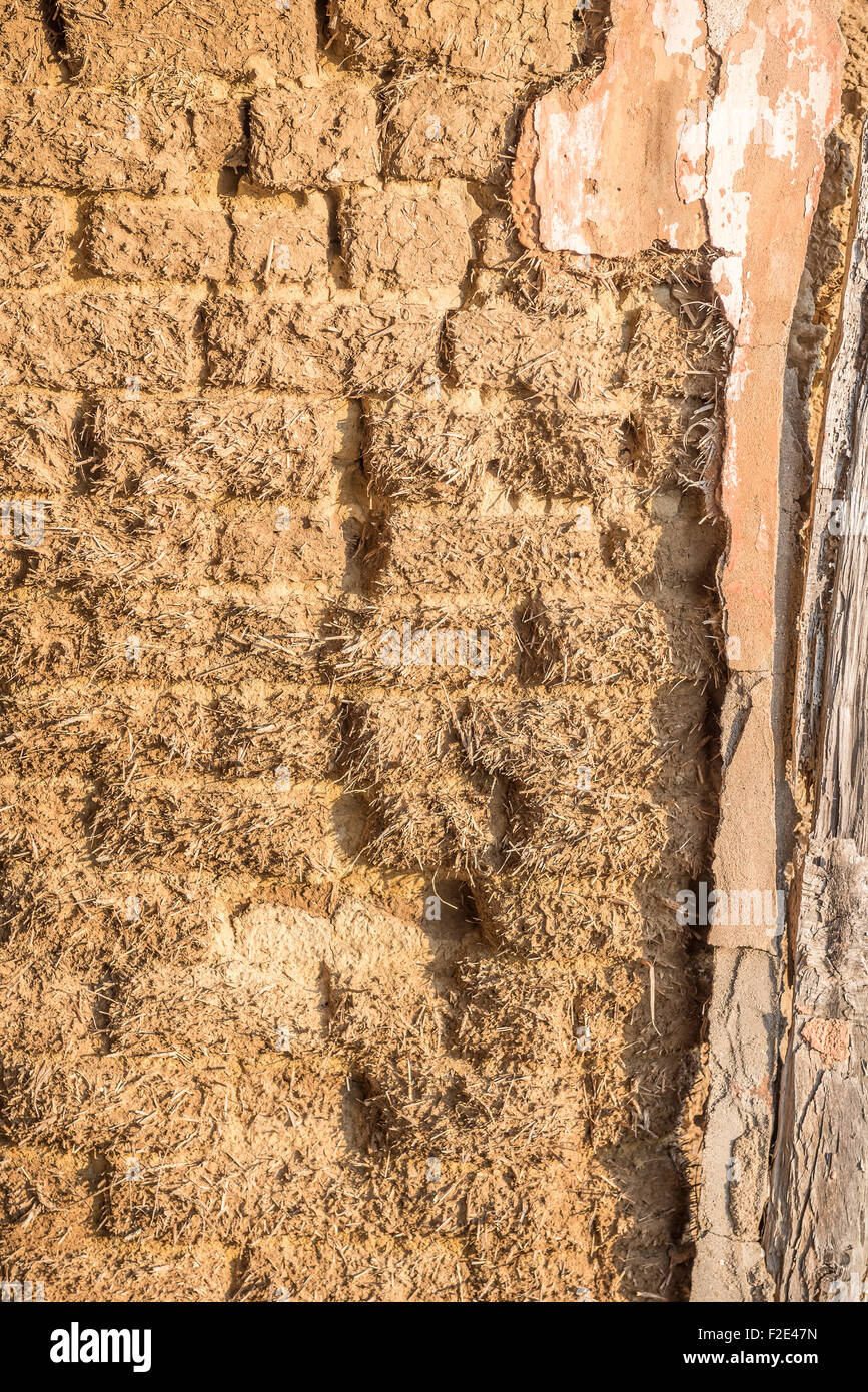 Mud and straw bricks were used to build this old ruin in Papendorp, a ...