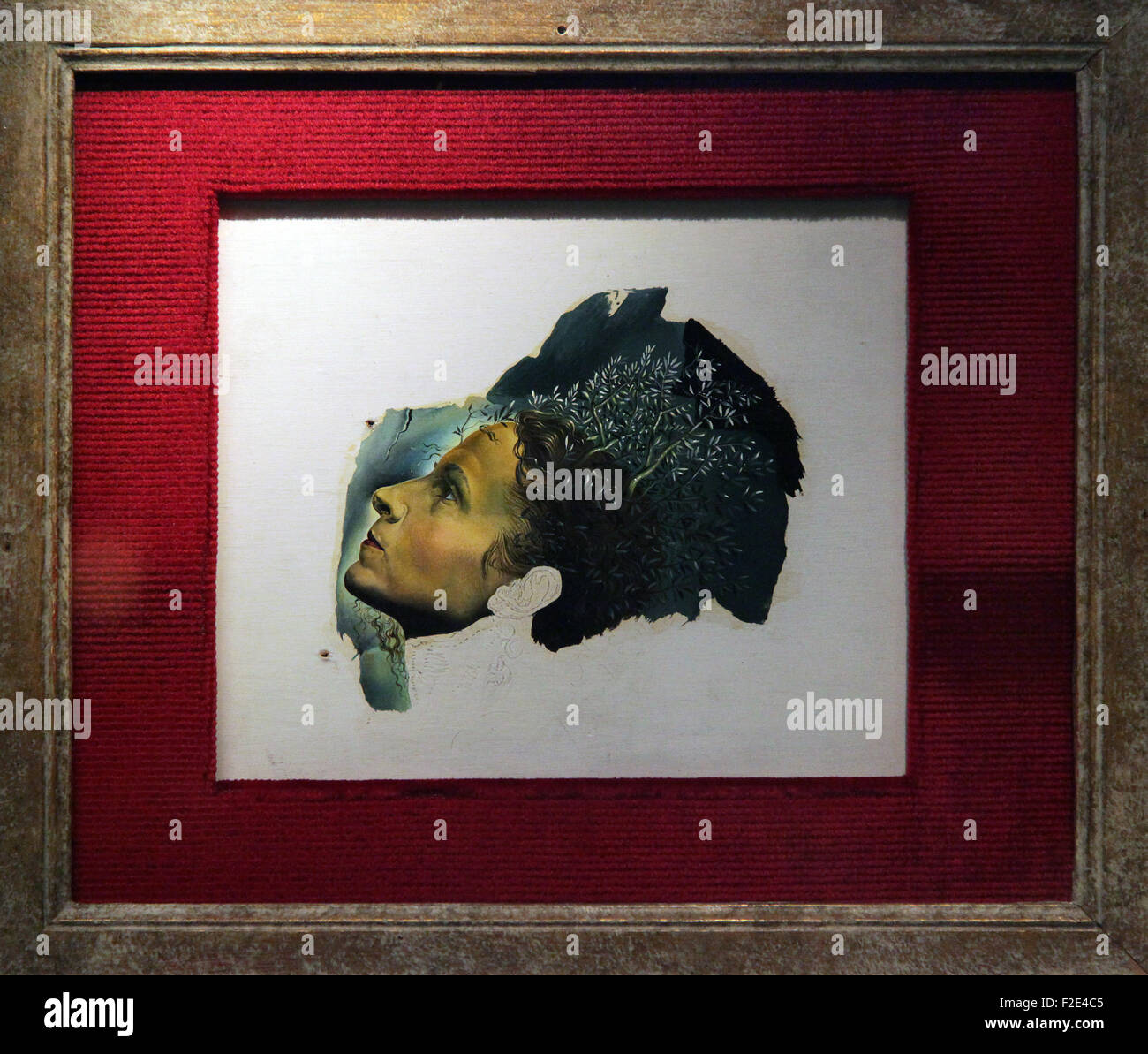 Salvador Dali Paintings High Resolution Stock Photography and Images ...