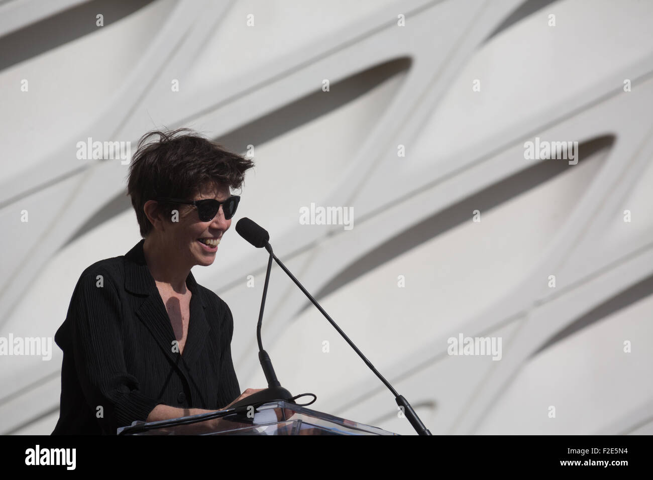 Elizabeth diller architect hi-res stock photography and images - Alamy