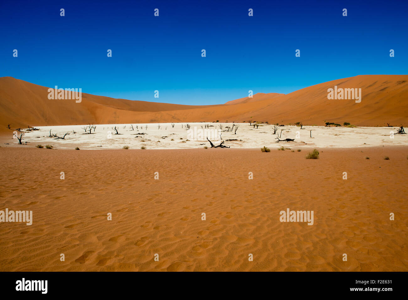 Deadvlei pan and dunes, Estimated 900 year old dead camel thorn trees ...