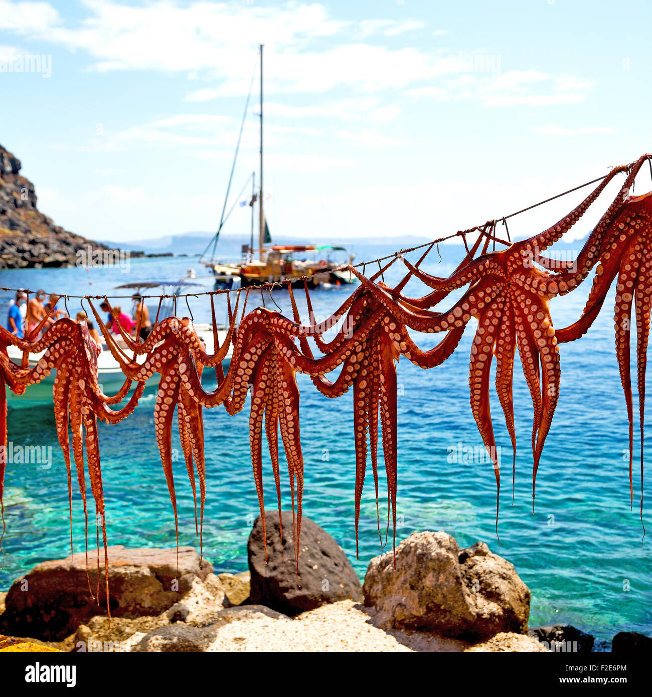 octopus drying in the sun europe greece santorini and light Stock Photo ...