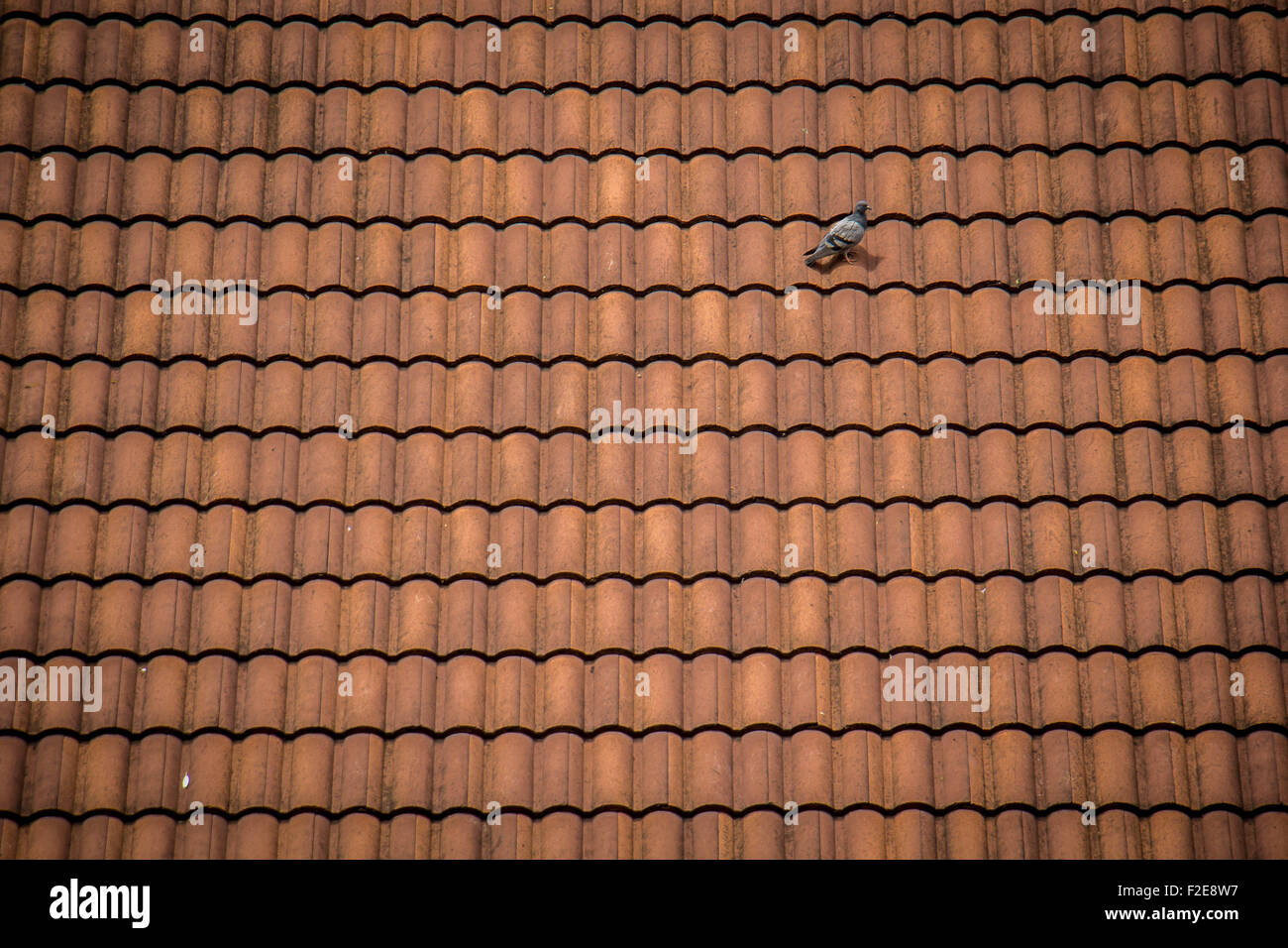 Ceramic, tile, texture, pattern, athletic, orange, roof, sturdy ...