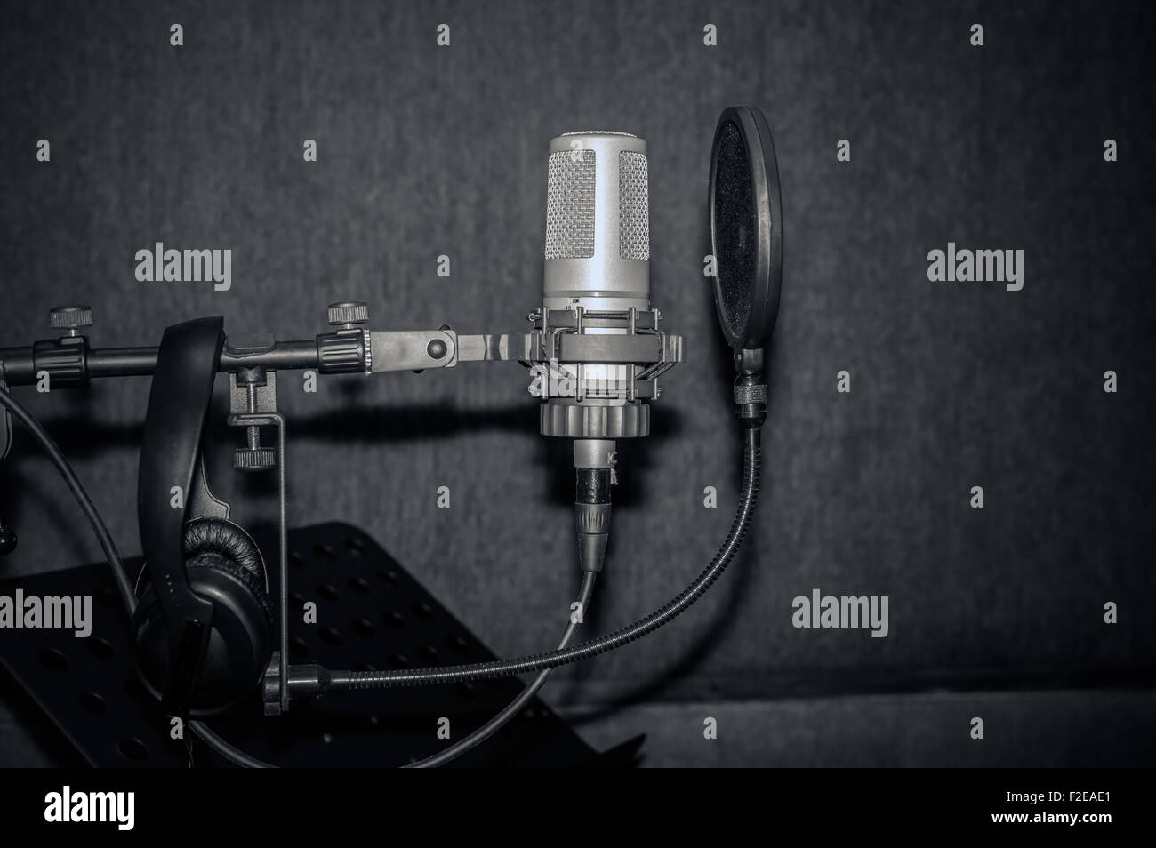 Professional condenser studio microphone Stock Photo - Alamy