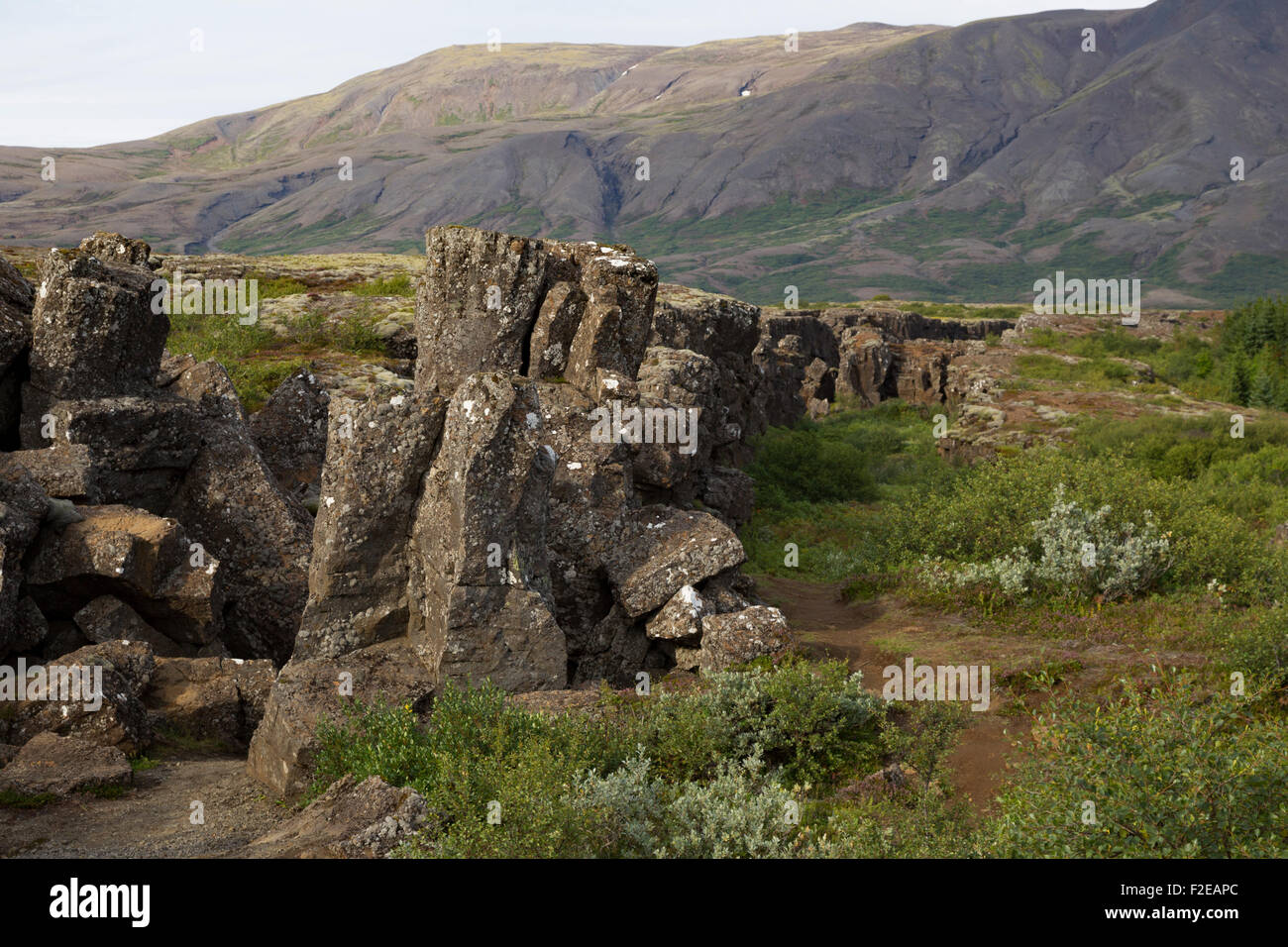Thingvellir National Park, rift valley in Iceland Stock Photo - Alamy