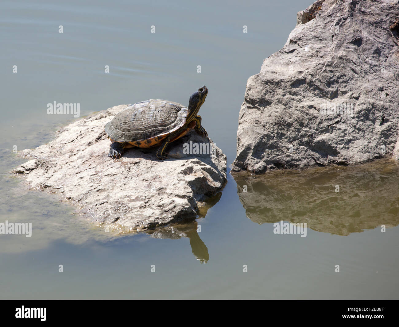 Turtle rock hi-res stock photography and images - Alamy