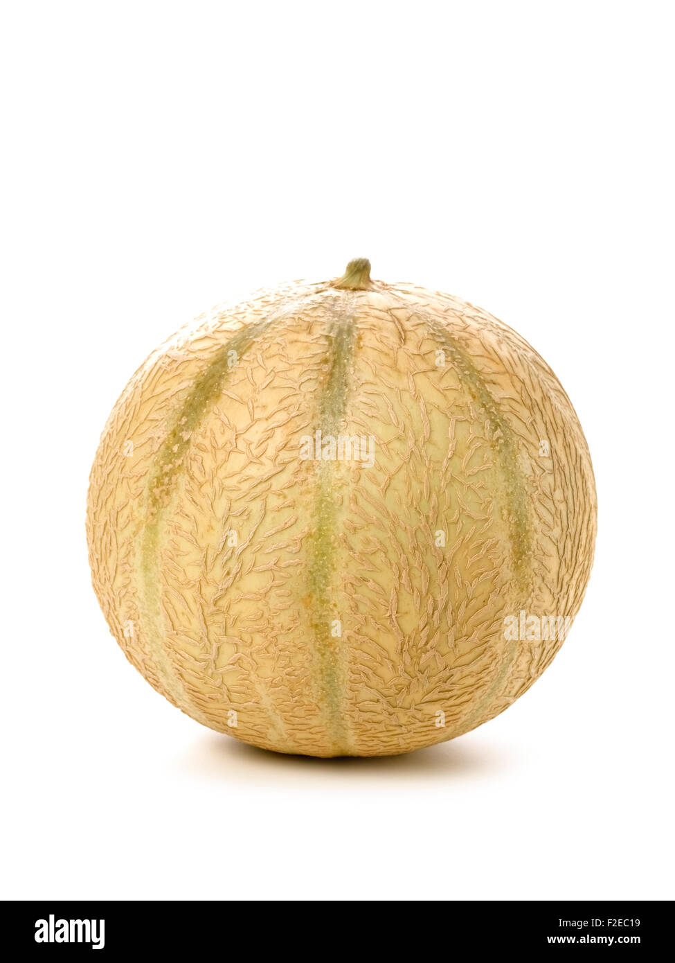 Mellon hi-res stock photography and images - Alamy