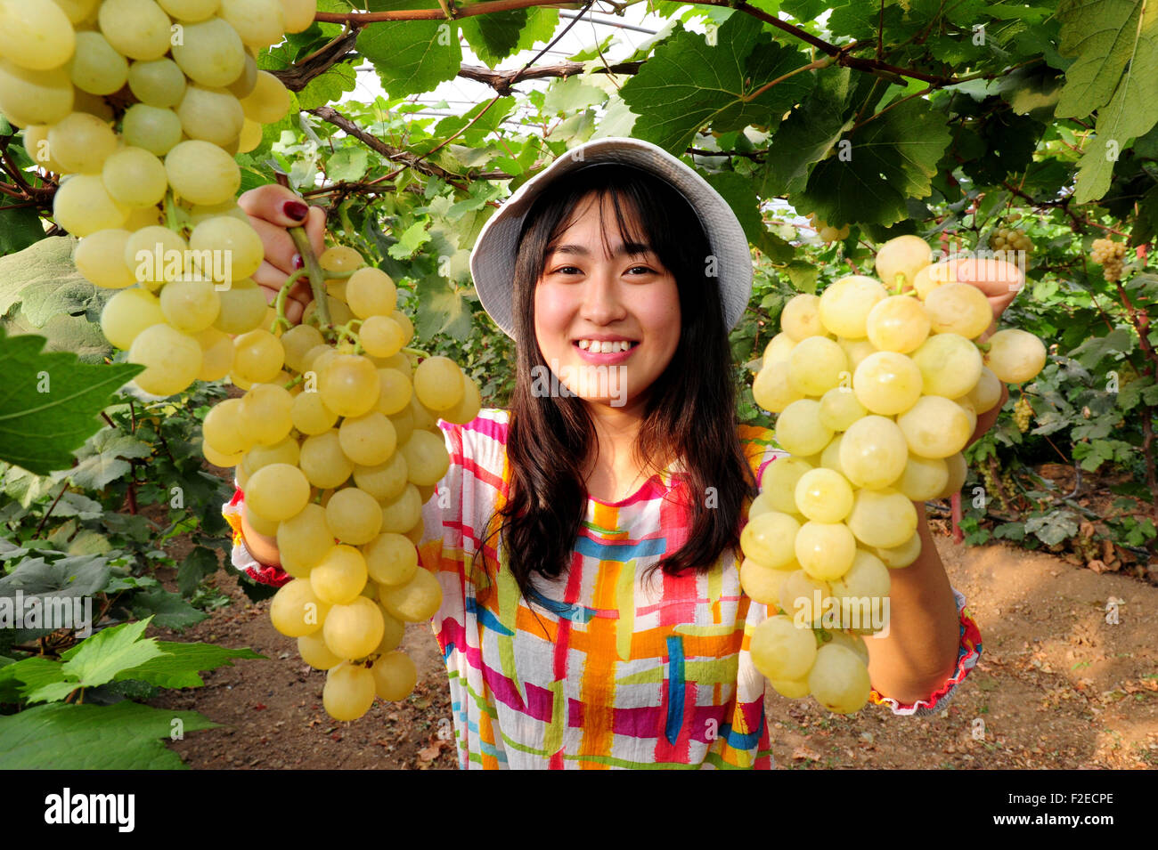 (150917) -- SHENYANG, Sept. 17, 2015 (Xinhua) -- A student displays ...