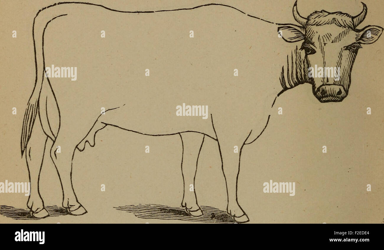 *Cunningham's Device for Stockmen and Farmers* (1882) details a ...