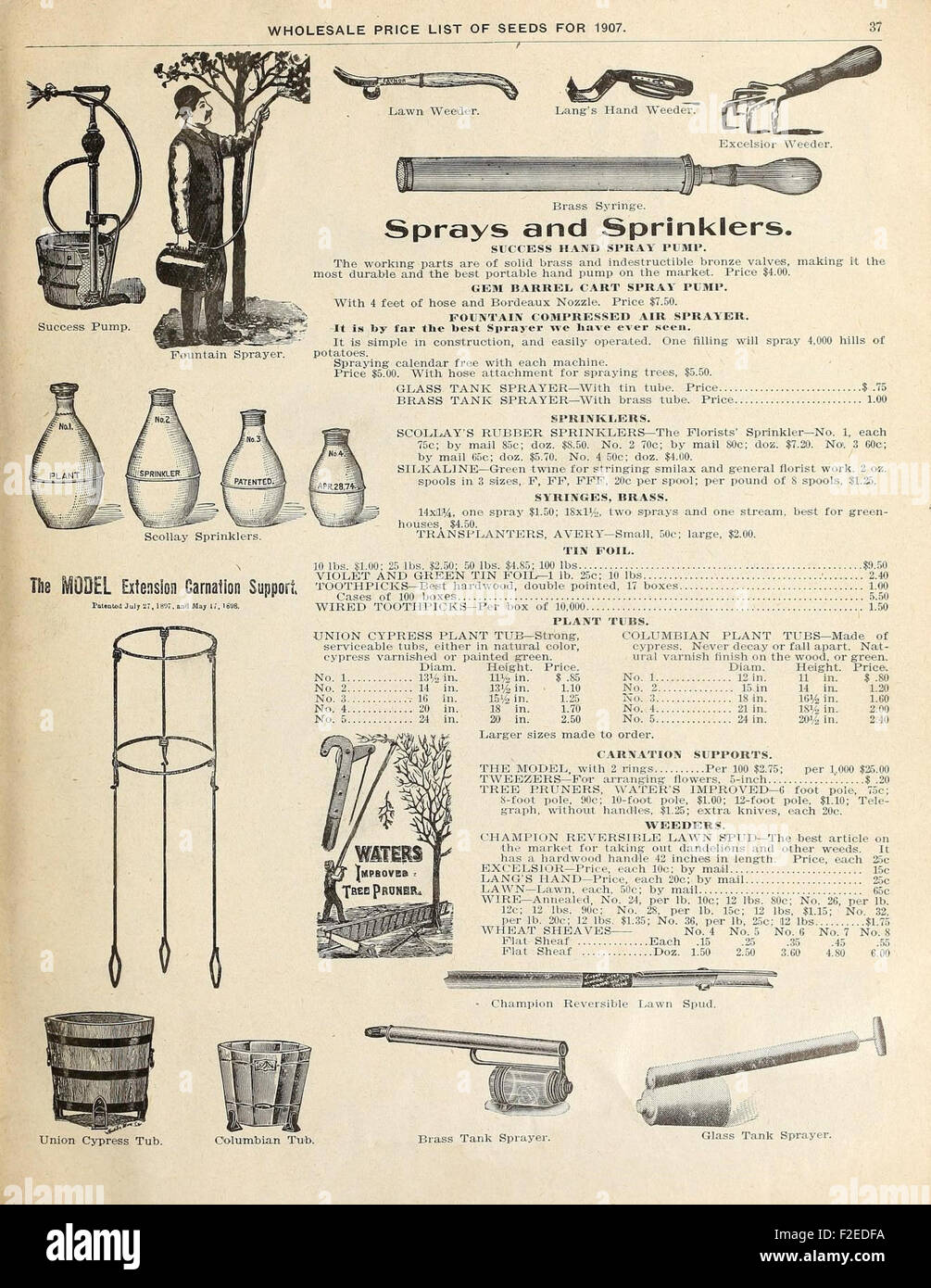 Currie's wholesale catalog, published in the late 19th century ...