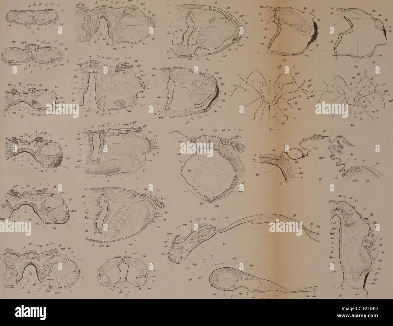 The 1909 'Denkschriften' from the Austrian Academy of Sciences presents ...
