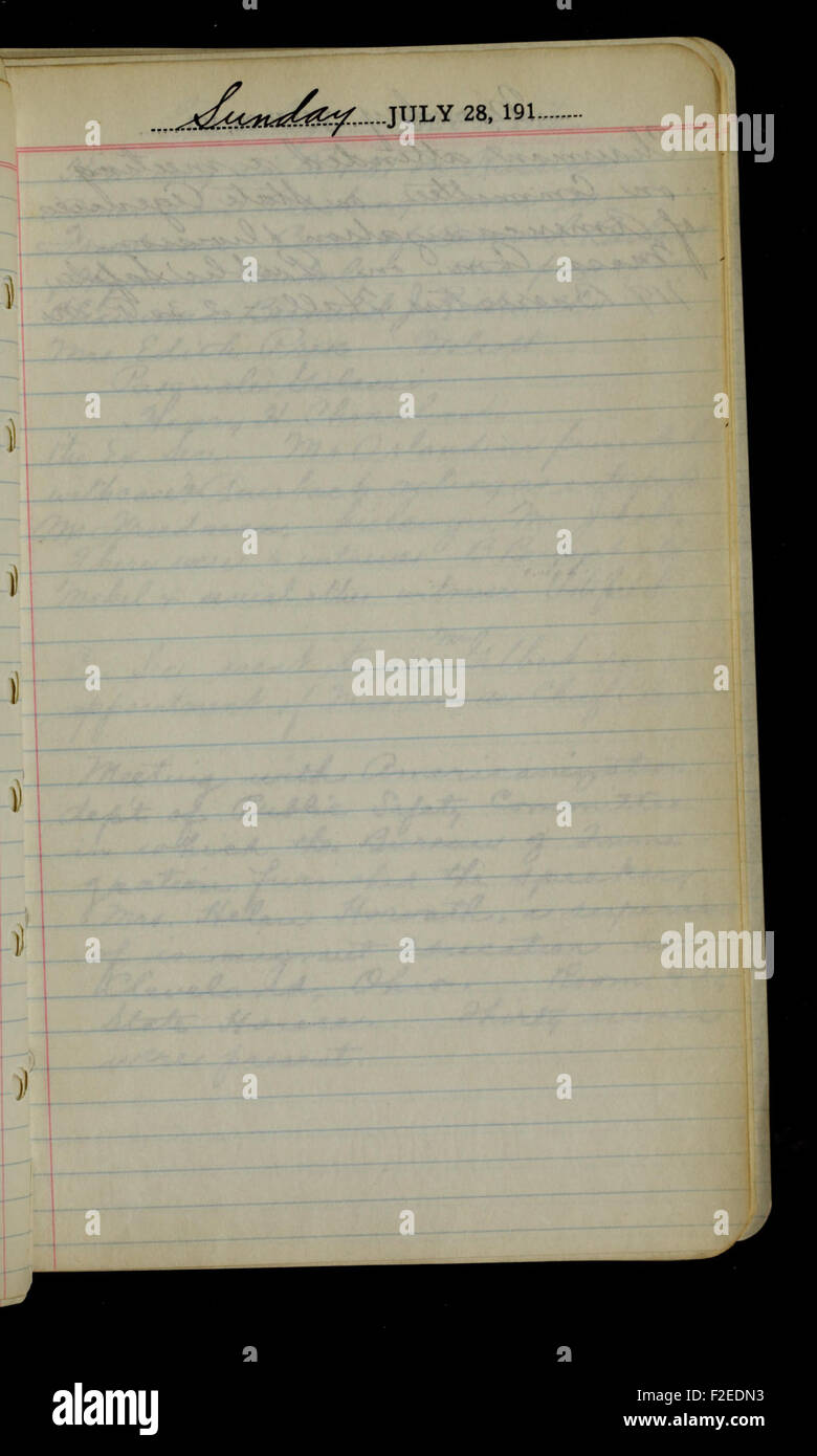 The professional diaries of Alice Winifred O'Connor from 1918 offer a ...