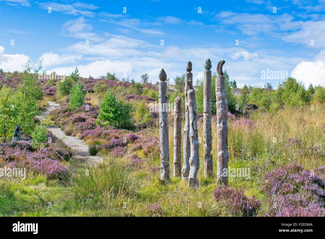 Abriachan trail walk above loch hi-res stock photography and images - Alamy
