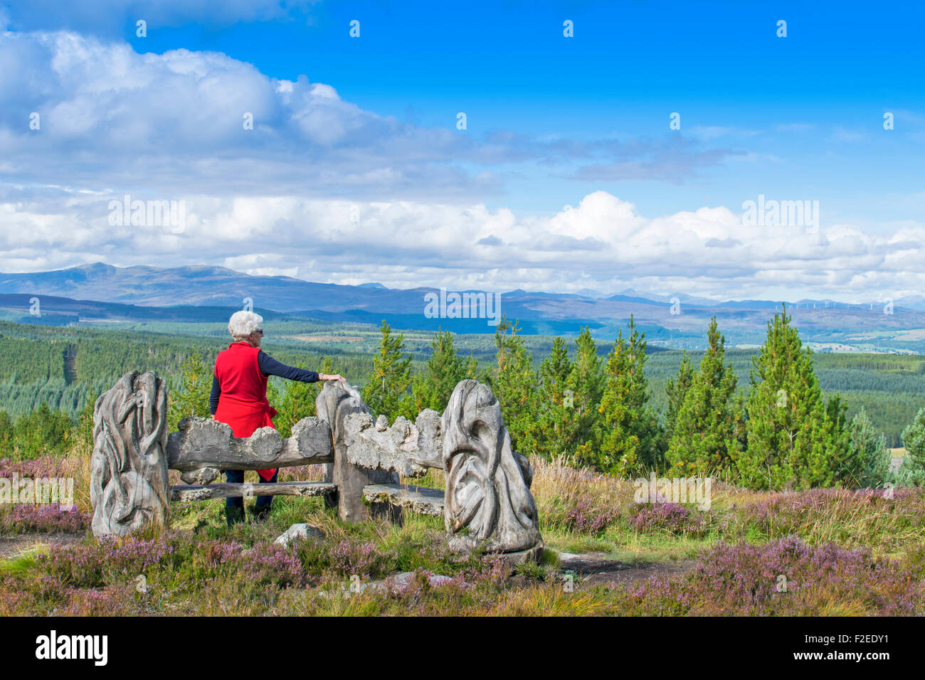 ABRIACHAN TRAIL OR WALK AND CARVED SEAT SET ABOVE LOCH NESS WITH A VIEW ...