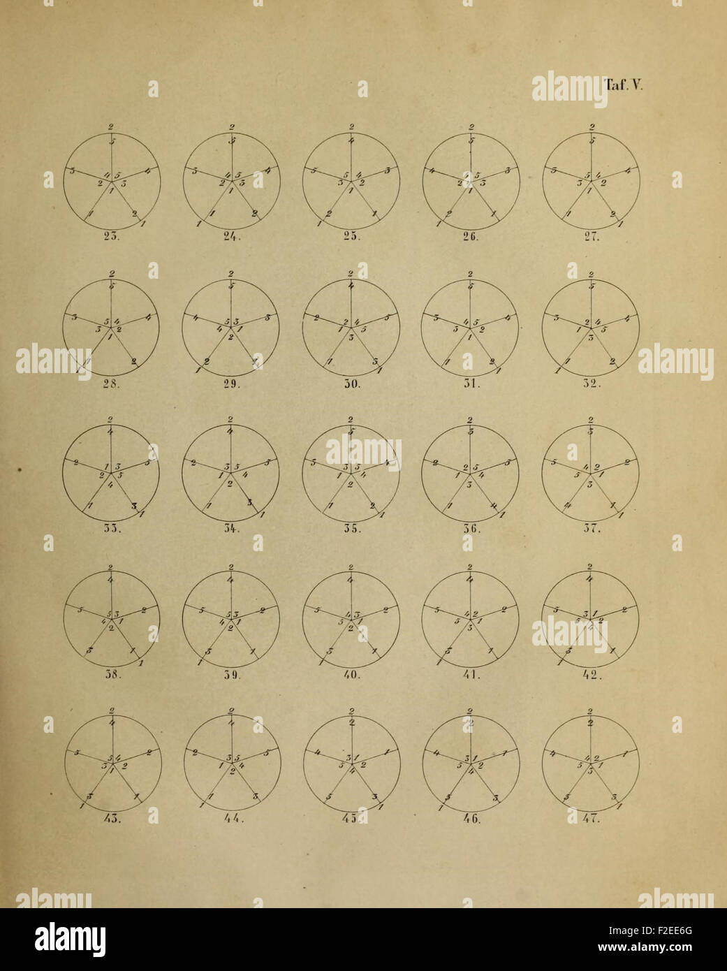 The 'Denkschriften' from the Royal Bavarian Botanical Society in ...