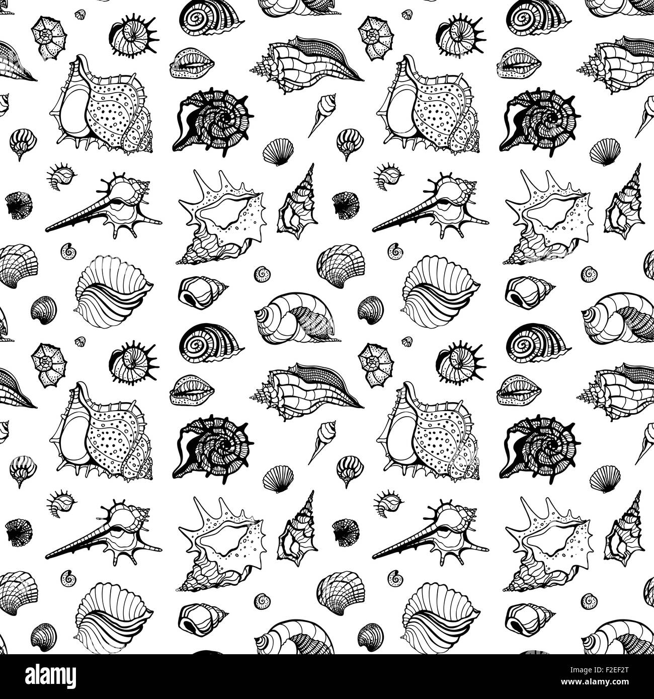 Seamless pattern of Sea shells Stock Vector Image & Art - Alamy