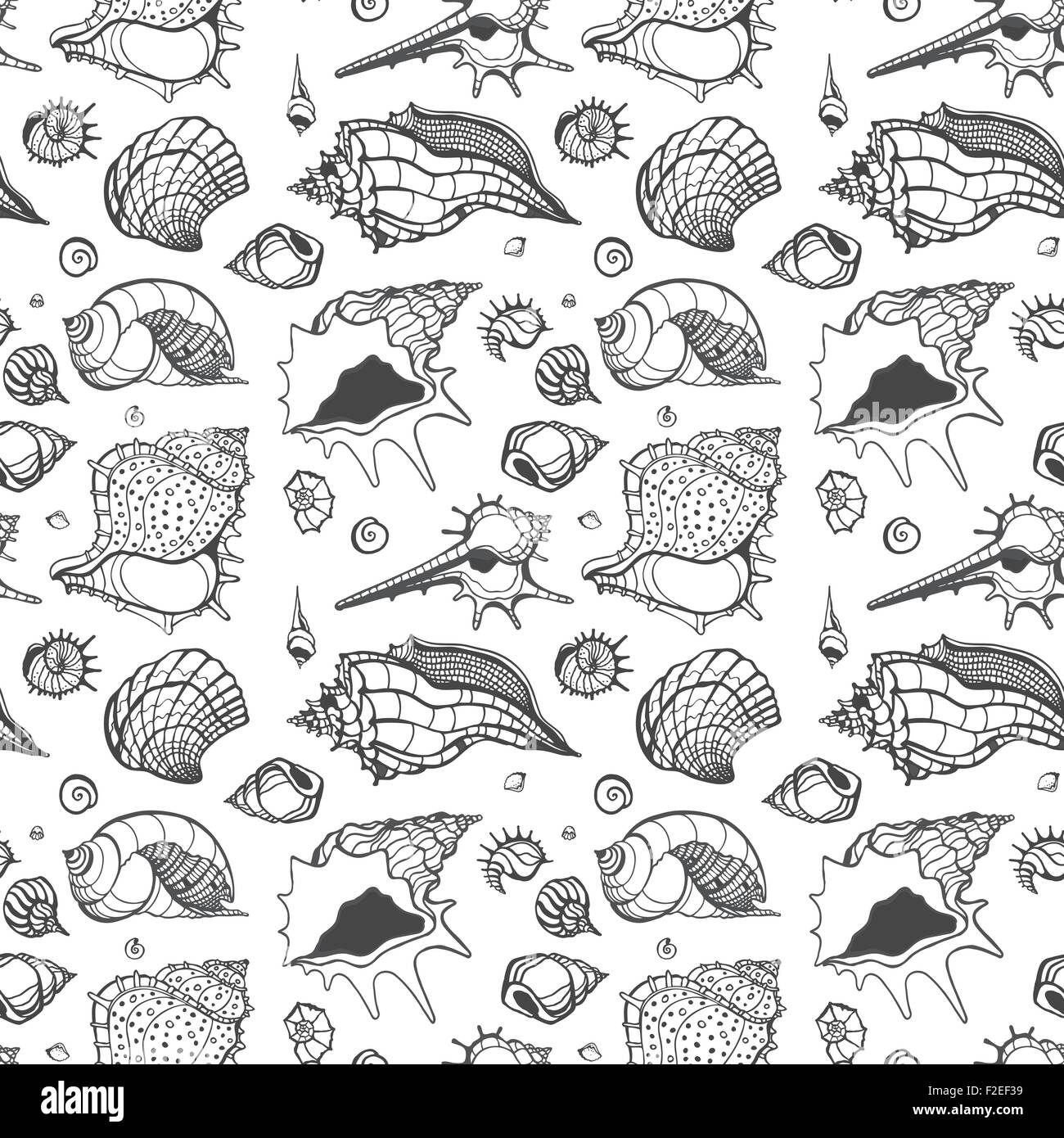 Seamless pattern of Sea shells Stock Vector Image & Art - Alamy