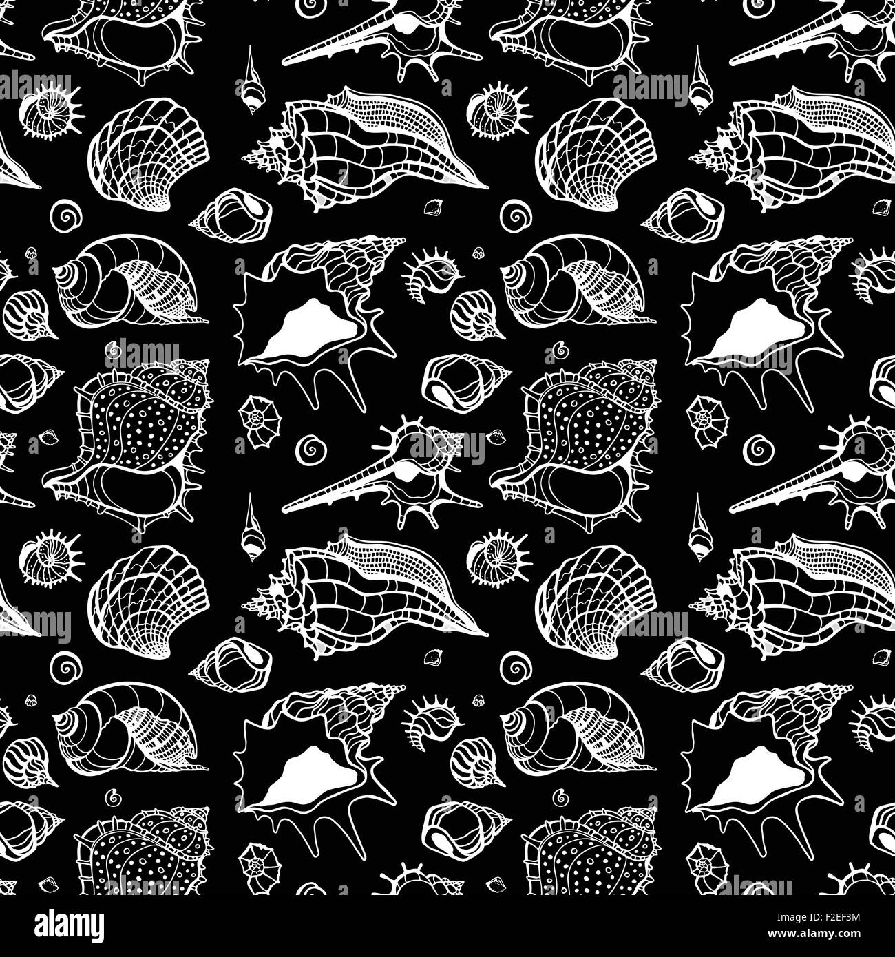 Seamless pattern of Sea shells Stock Vector Image & Art - Alamy