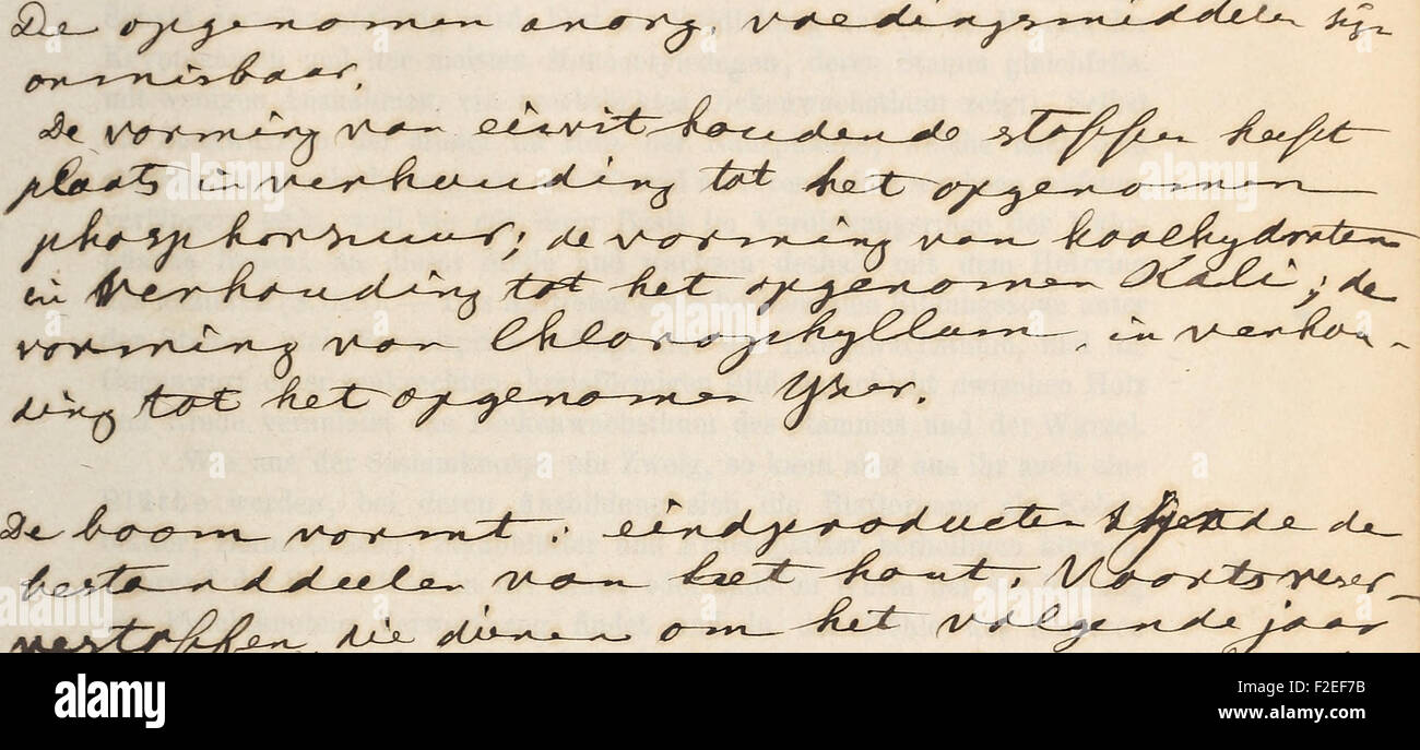 An illustration from 'Der Baum,' a 1860 work focused on trees and their ...