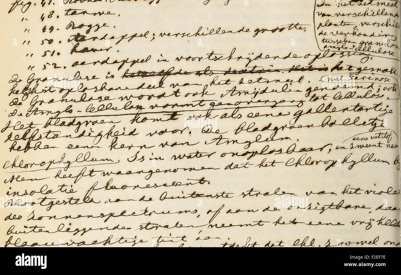 'Der Baum' (1860) explores the various types of trees, their growth ...