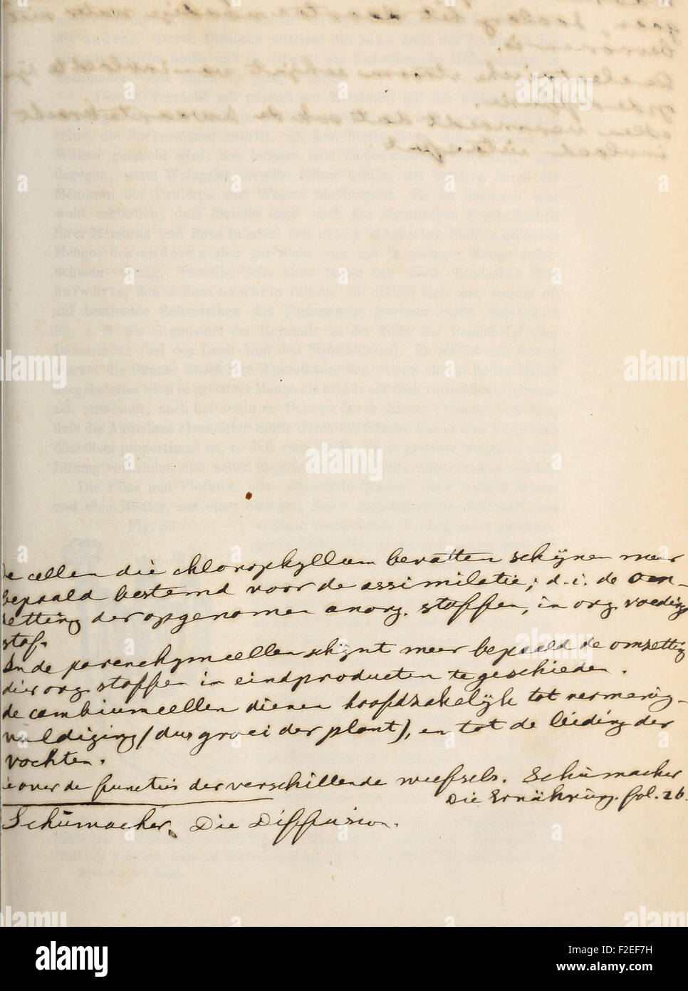 'Der Baum', published in 1860, is a study on trees, exploring their ...