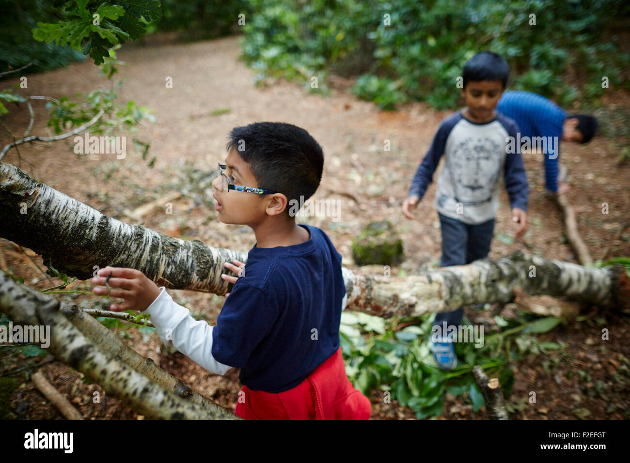 Den making uk hi-res stock photography and images - Alamy