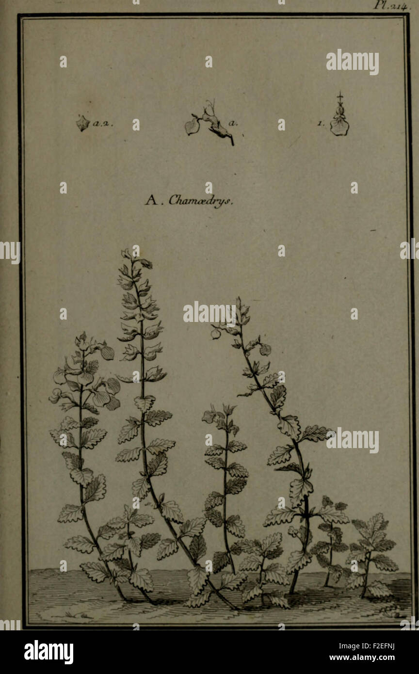 This 18th-century work provides a detailed description and uses of 719 ...