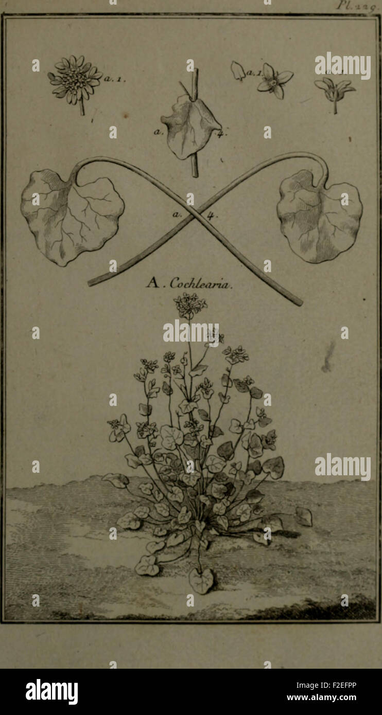 Description, vertus et usages de sept cents dix-neuf plantes - tant ...