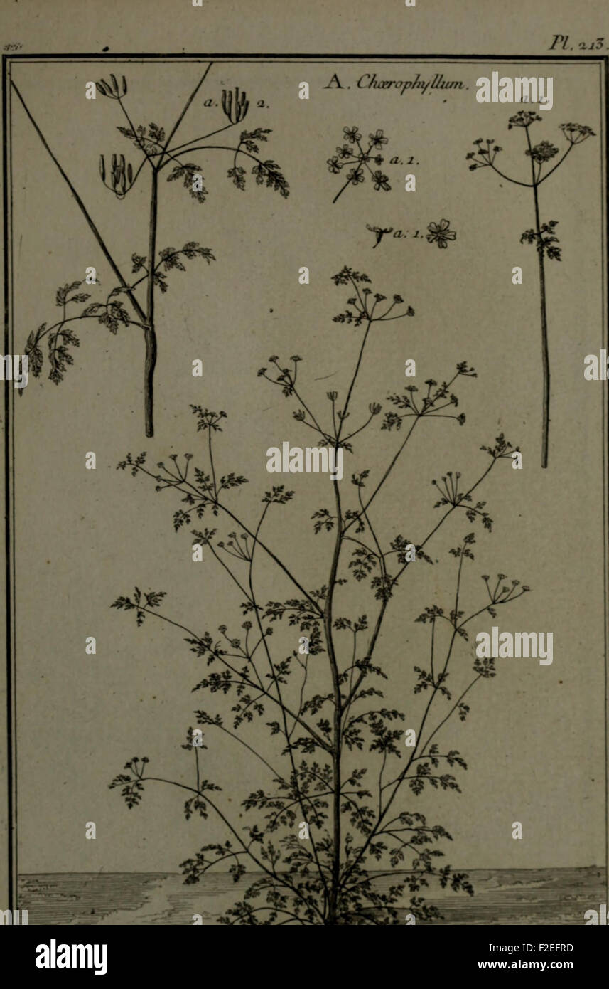 Description, vertus et usages de sept cents dix-neuf plantes - tant ...