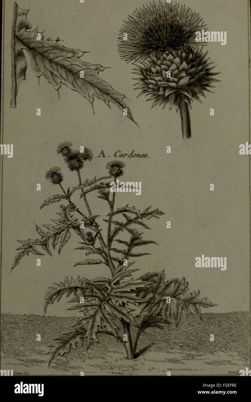 An extensive 19th-century work detailing the properties and uses of 719 ...