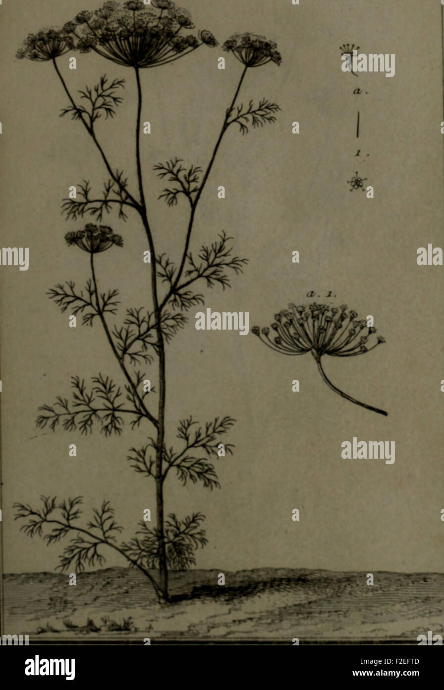 Description, vertus et usages de sept cents dix-neuf plantes - tant ...