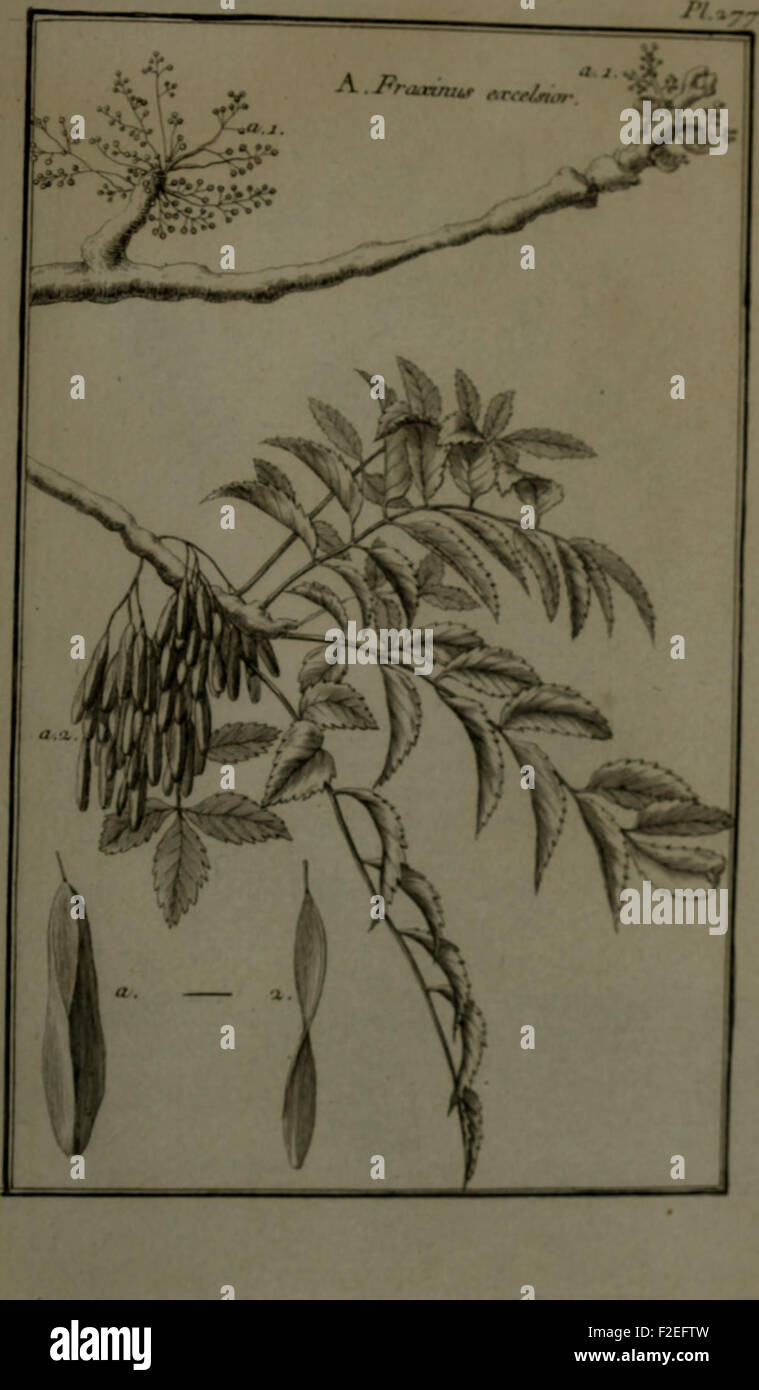 A French botanical work describing the properties, uses, and virtues of ...