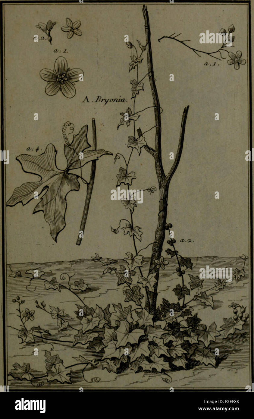 *Description, Vertus et Usages de Sept Cents Dix-Neuf Plantes* is an ...