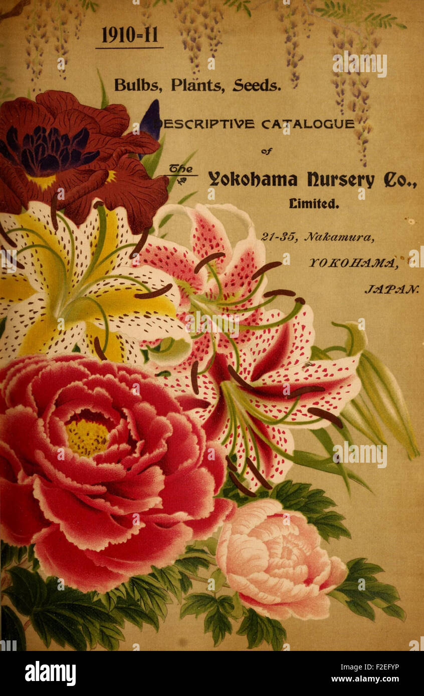 This catalog provides a detailed description of various flowering trees ...
