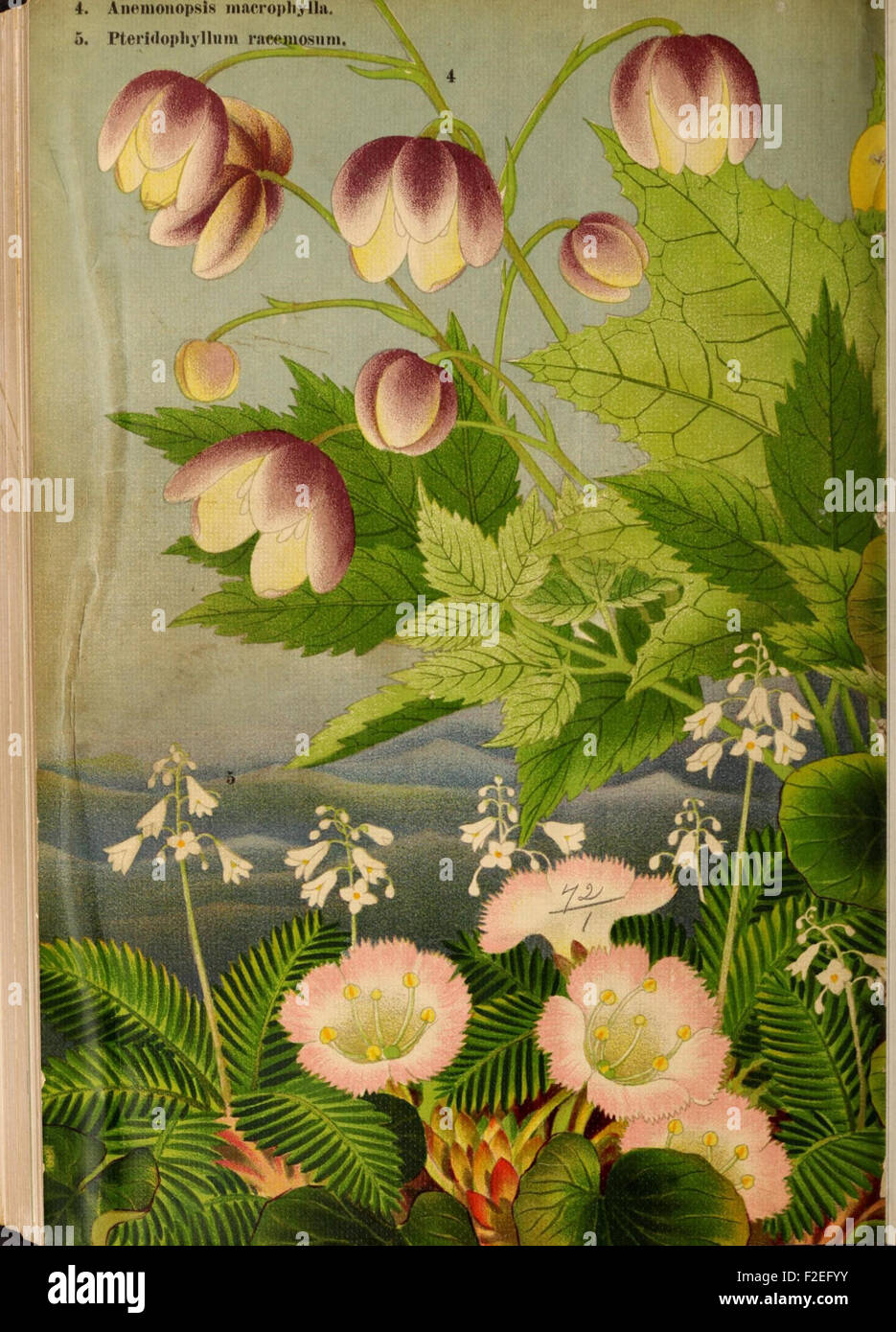 This catalog provides detailed descriptions and illustrations of ...