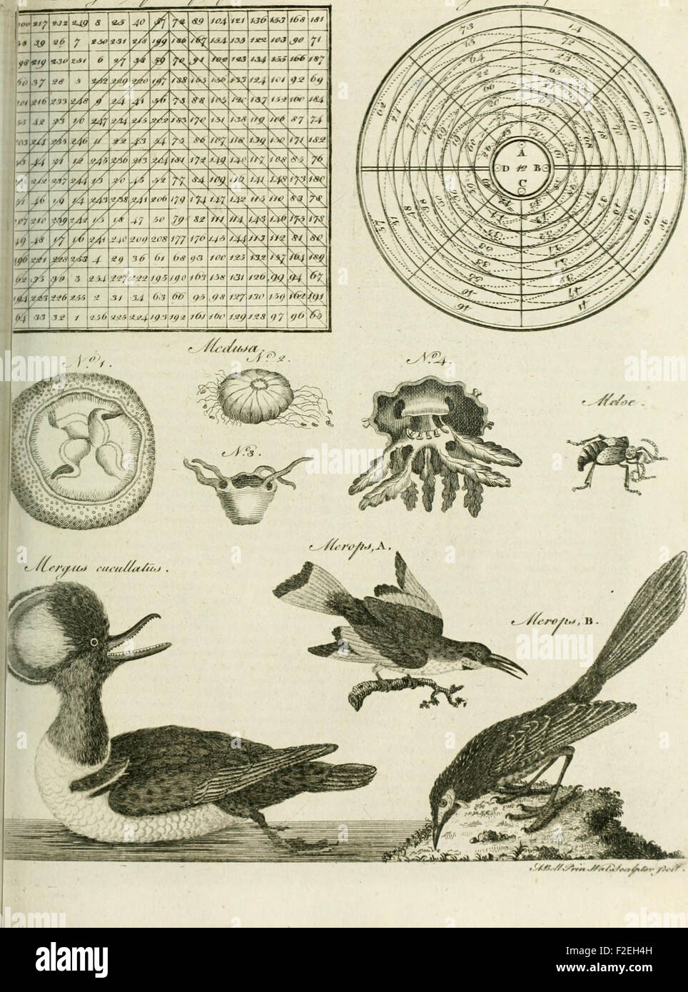 A vintage cover of the 'Encyclopædia Britannica', a monumental work ...