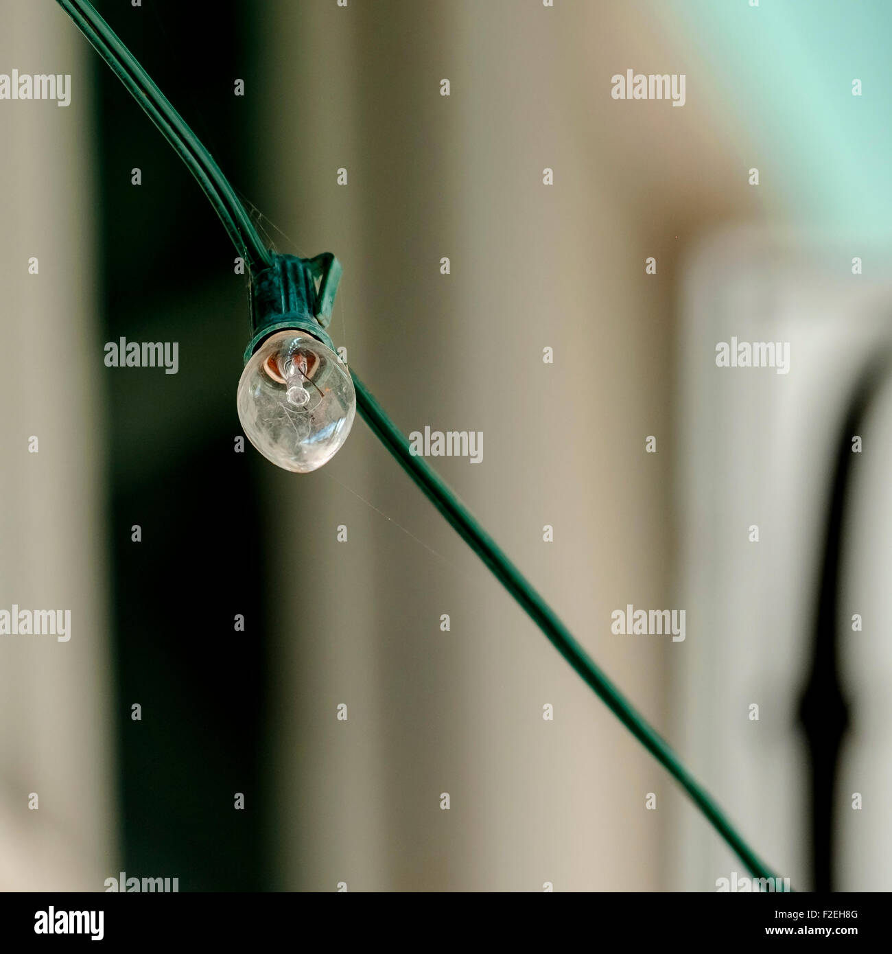 Monofilament hi-res stock photography and images - Alamy