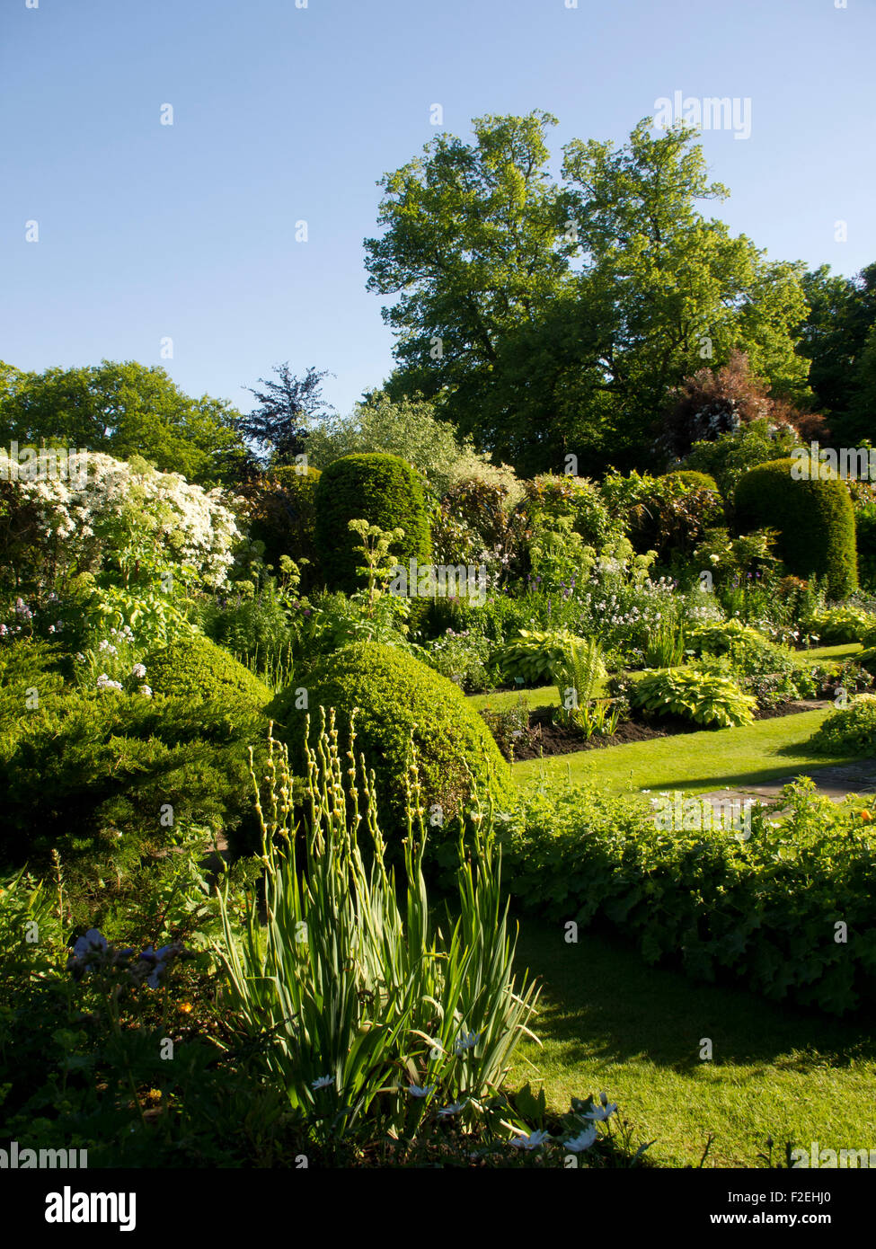 Garden Path Hostas High Resolution Stock Photography and Images - Alamy